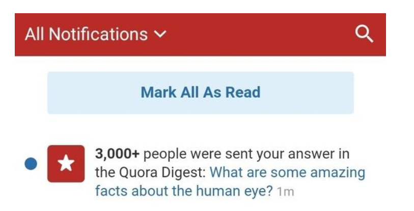 Quoraダイジェストとは何ですか？どのように機能しますか？ - Mdeay